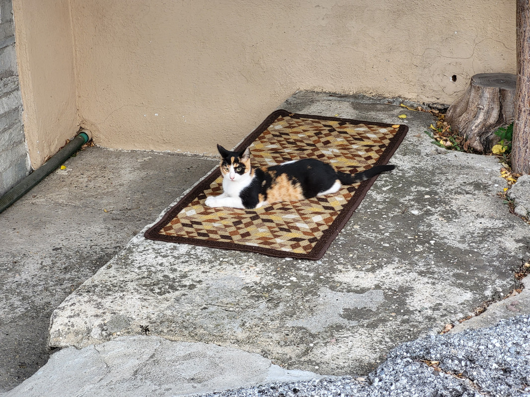 20221011 084052 — Postimages