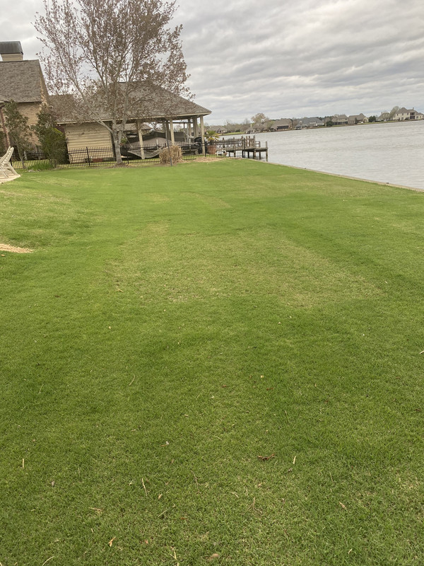 Early green up and PGR | Lawn Care Forum