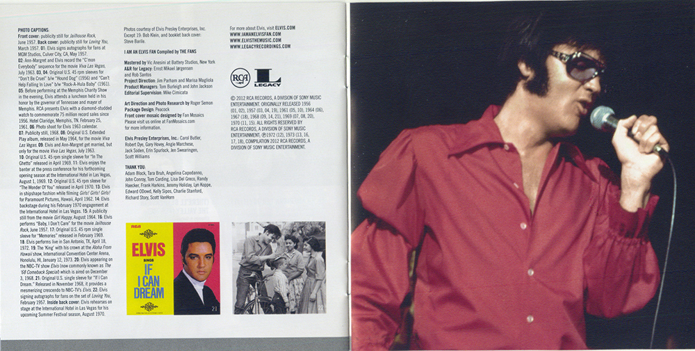 I AM AN ELVIS FAN [88725 42334 2]