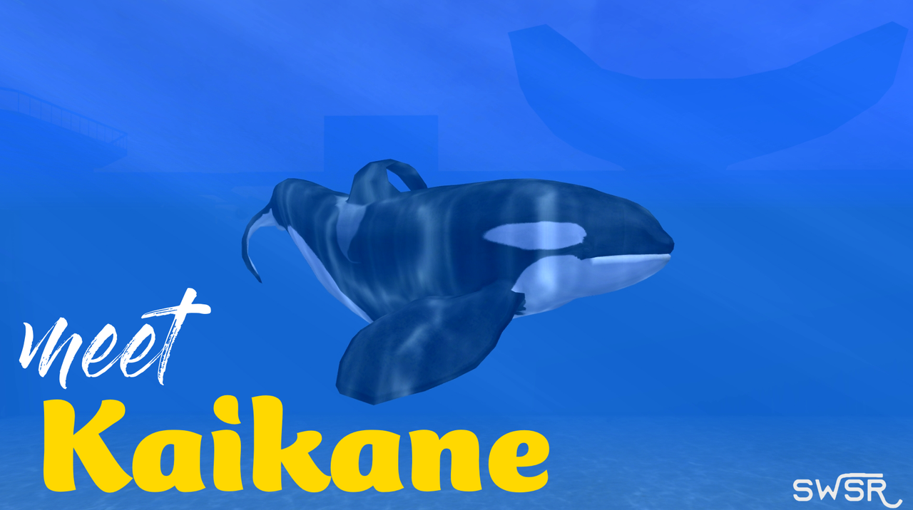 SeaWorld Shanghai - Page 2 - The ZT2 Round Table