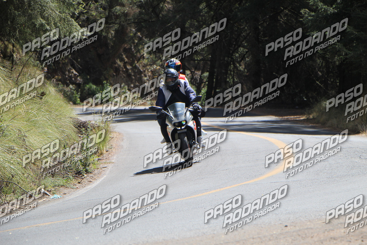 IMG 2115 wm 184076 30000000005 watermarked — Postimages