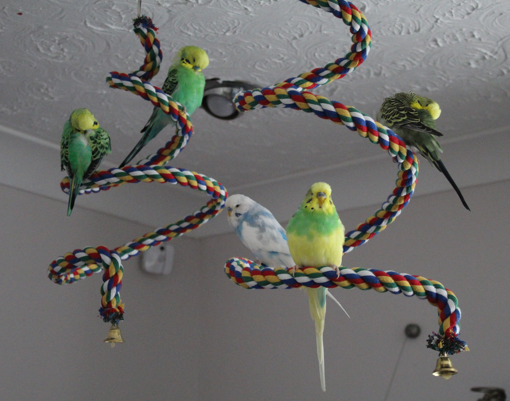 20230701101337 img 0159 — Postimages