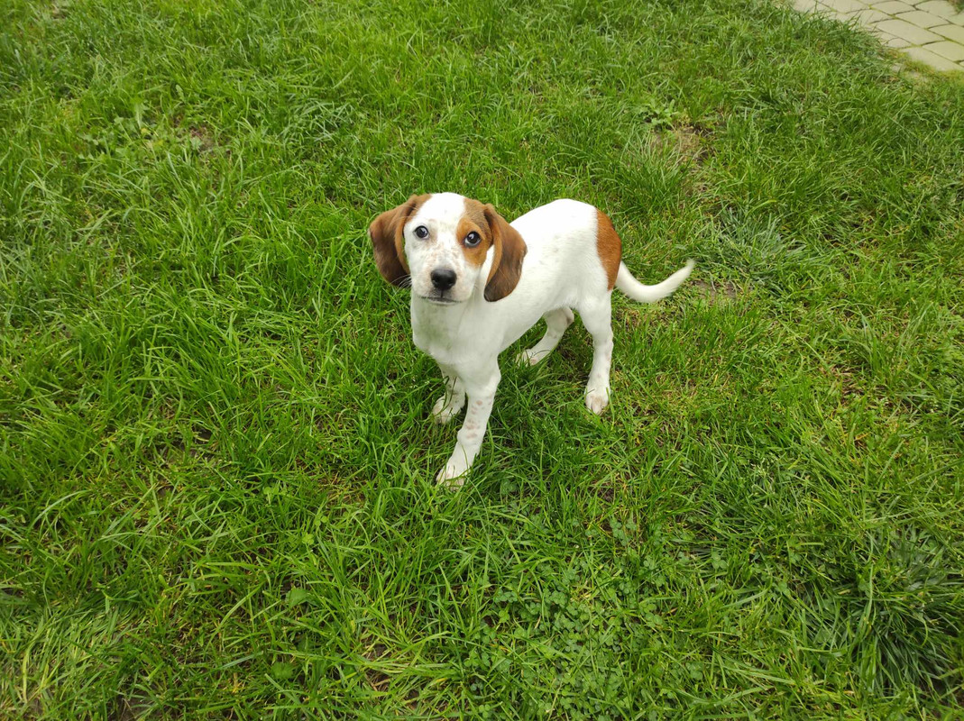 Elka 3 — Postimages