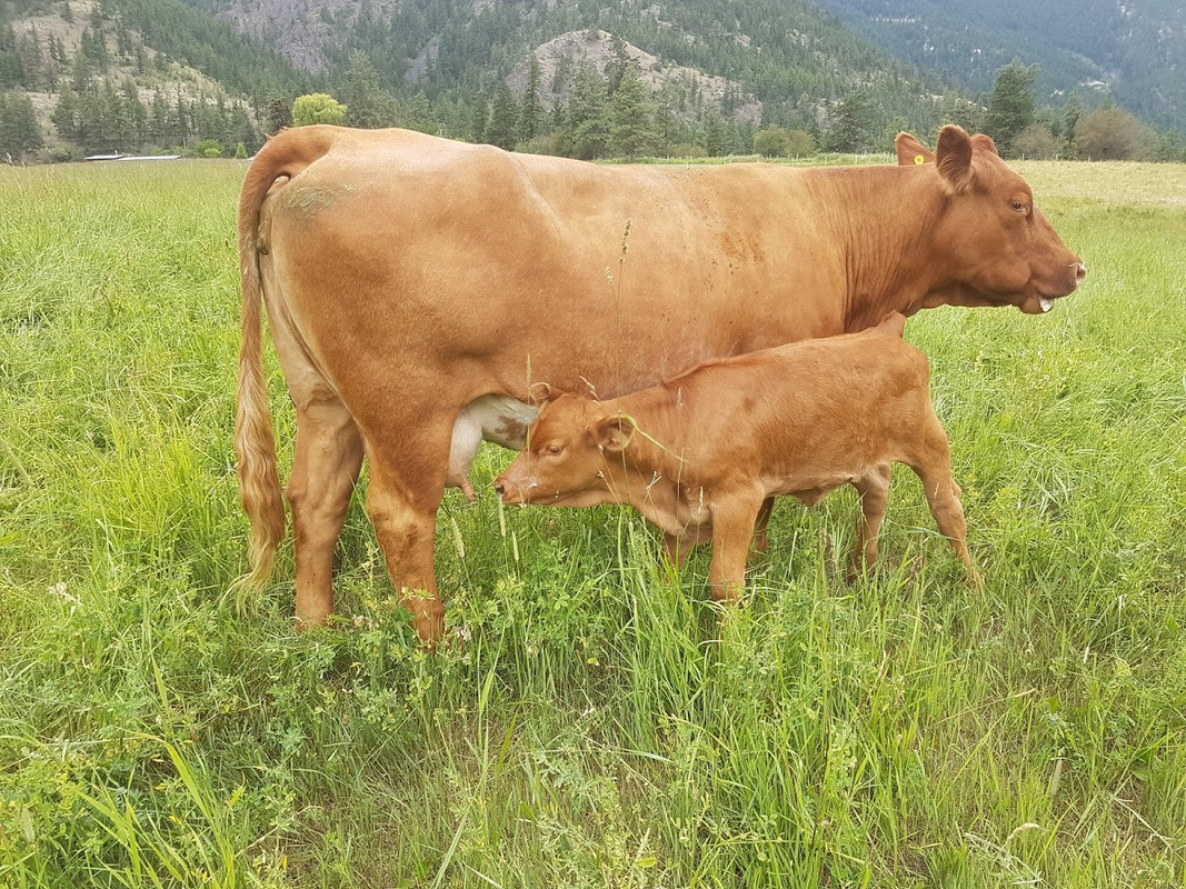 20200622 101620 — Postimages