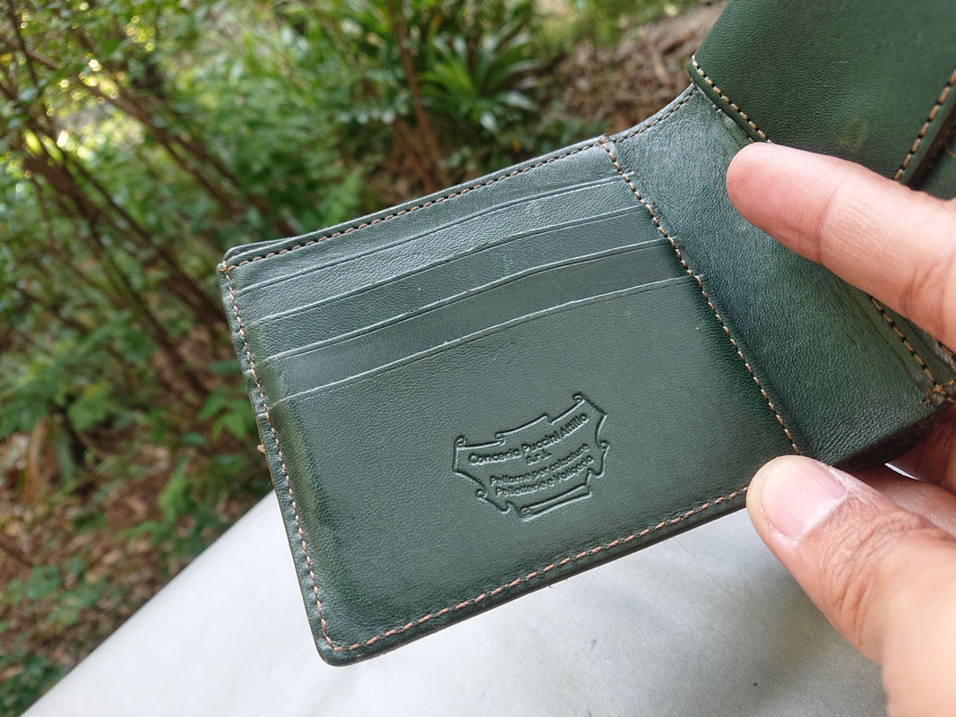 DSC 9481 — Postimages