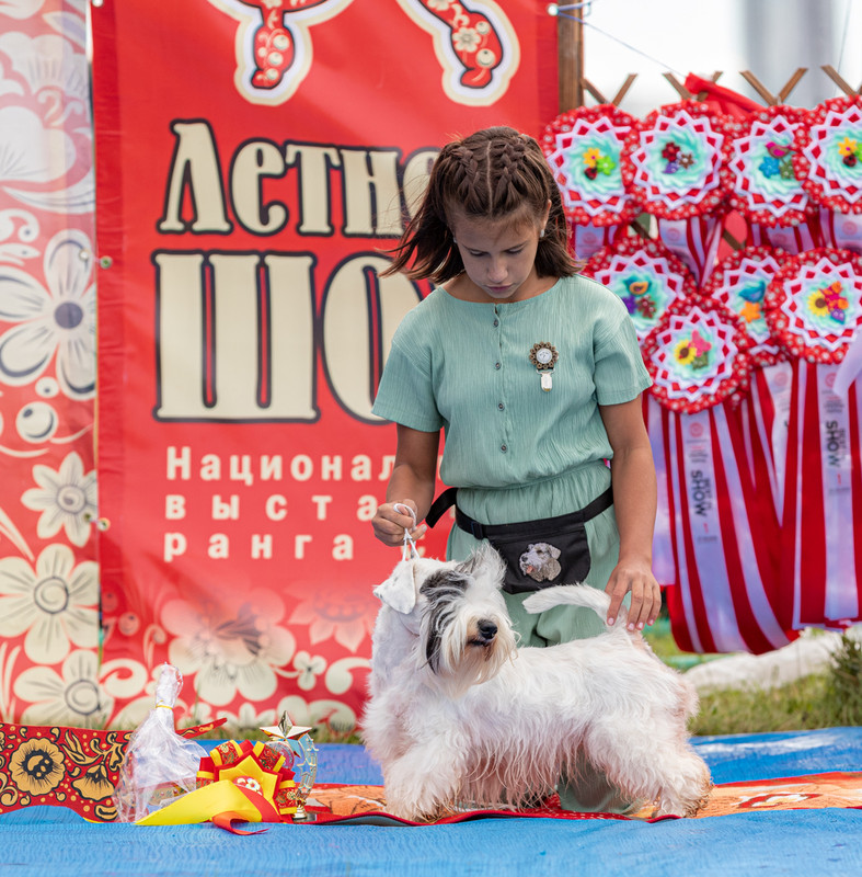 КЮХ 55 — Postimages