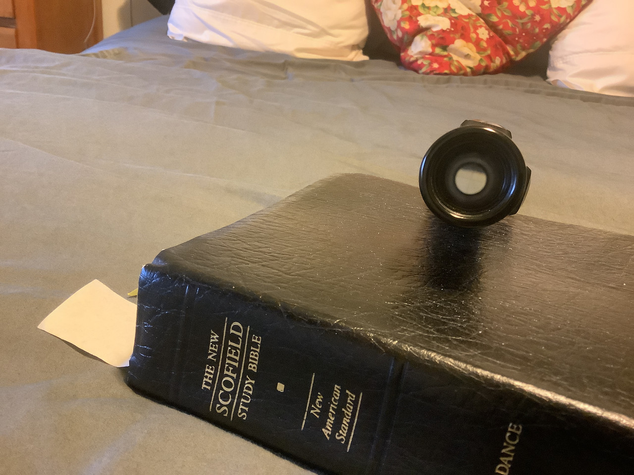 IMG 0948 — Postimages