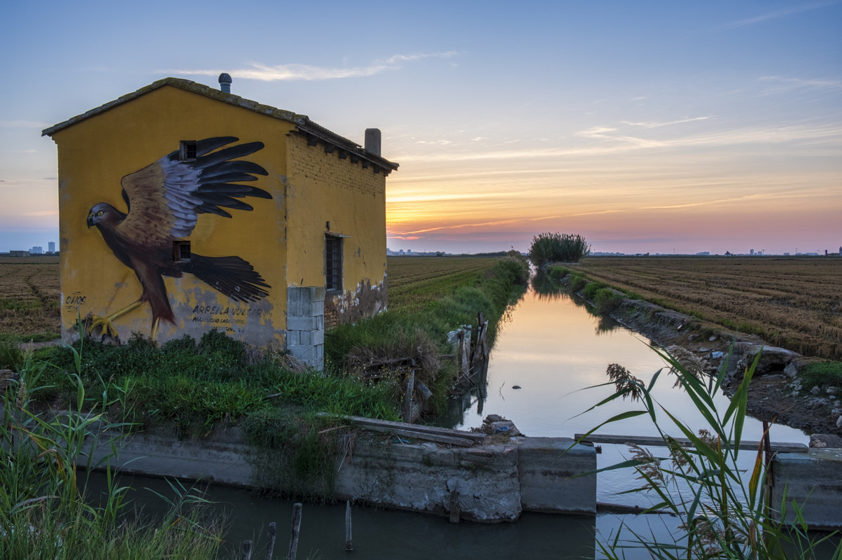 DSF6563 Editar — Postimages