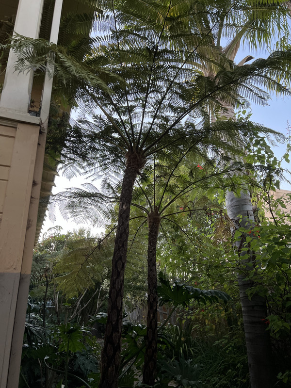 IMG 9290 — Postimages