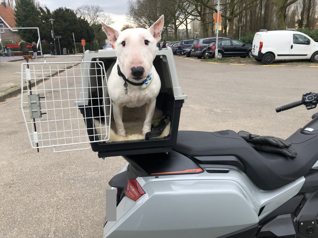 49599133 AAF0 4 BB8 8 D83 E8400 CEAD433 1 201 a — Postimages