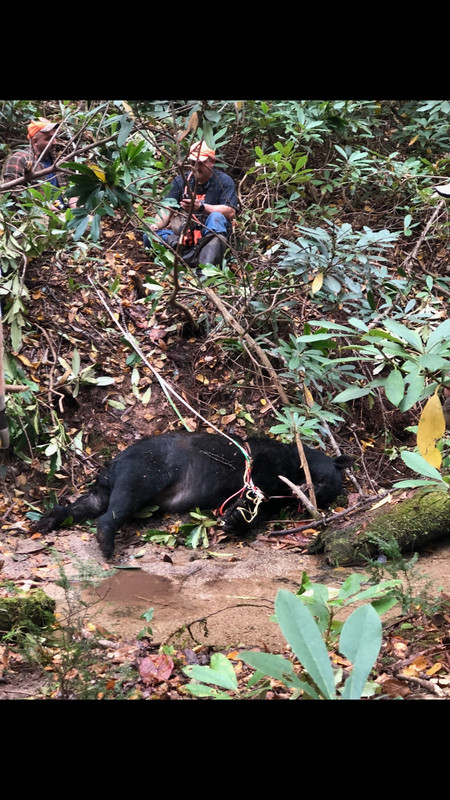 IMG 1359 — Postimages