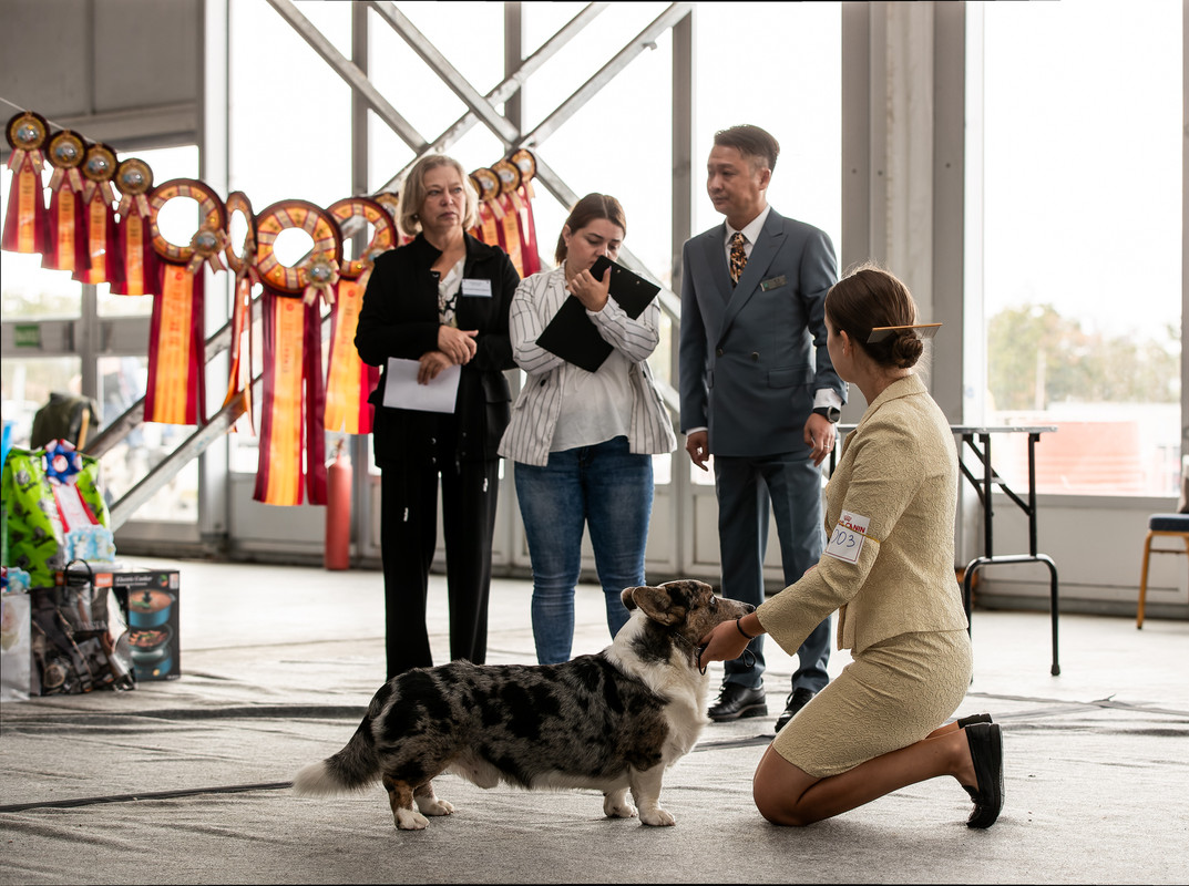 30 1165 — Postimages