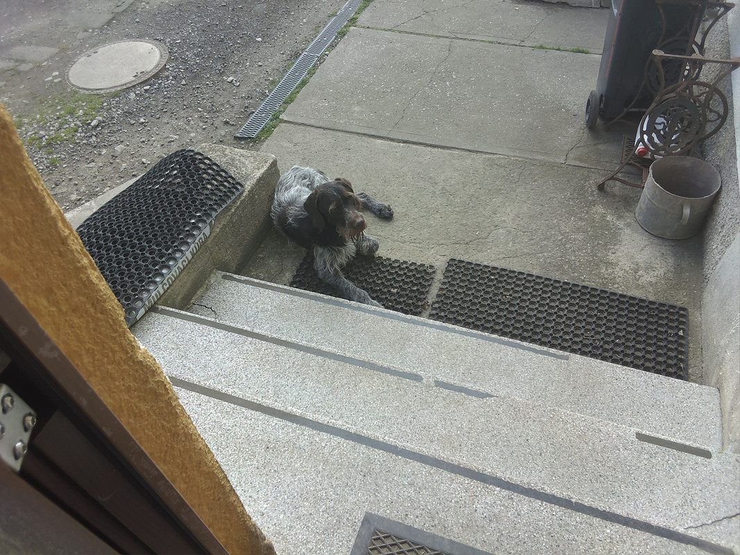 IMG 20240317 123458 — Postimages