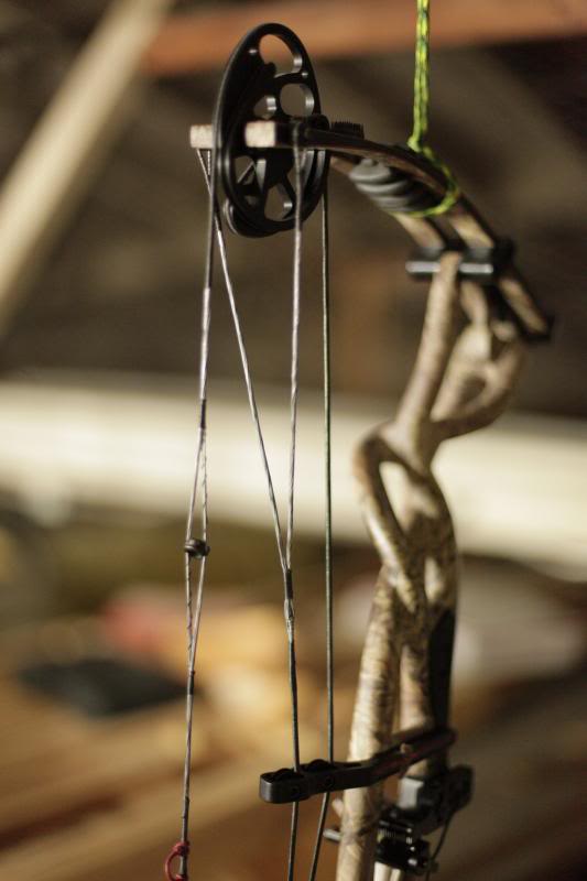 Invicta 37 or TRX 38 ??? | Archery Talk Forum