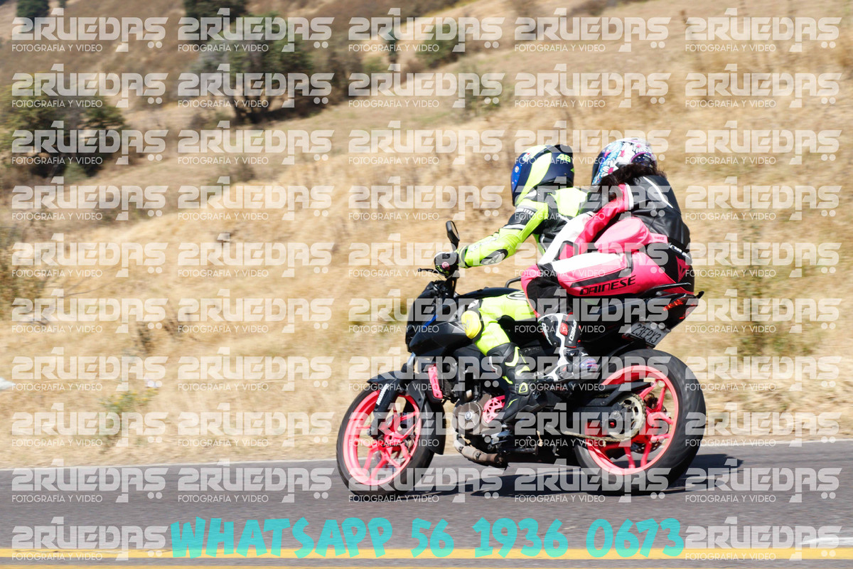 MG 0779 — Postimages