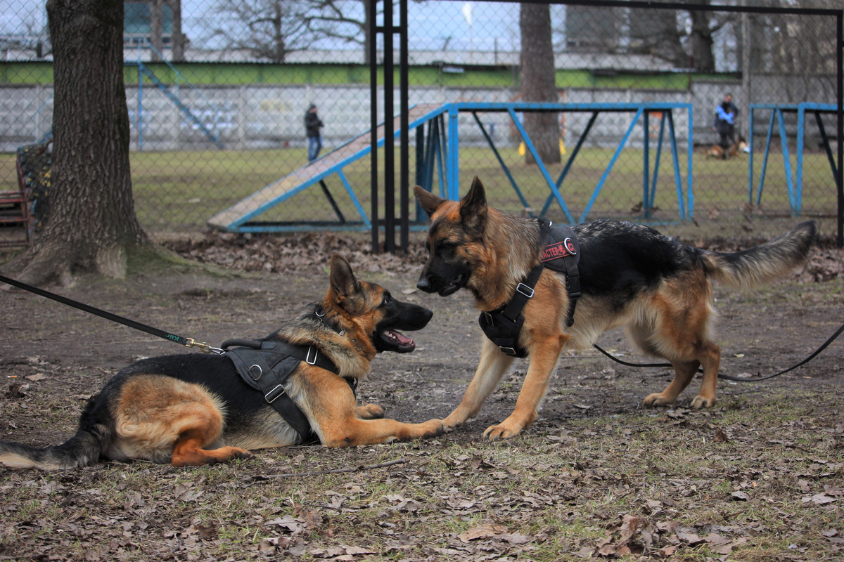 IMG 6860 — Postimages