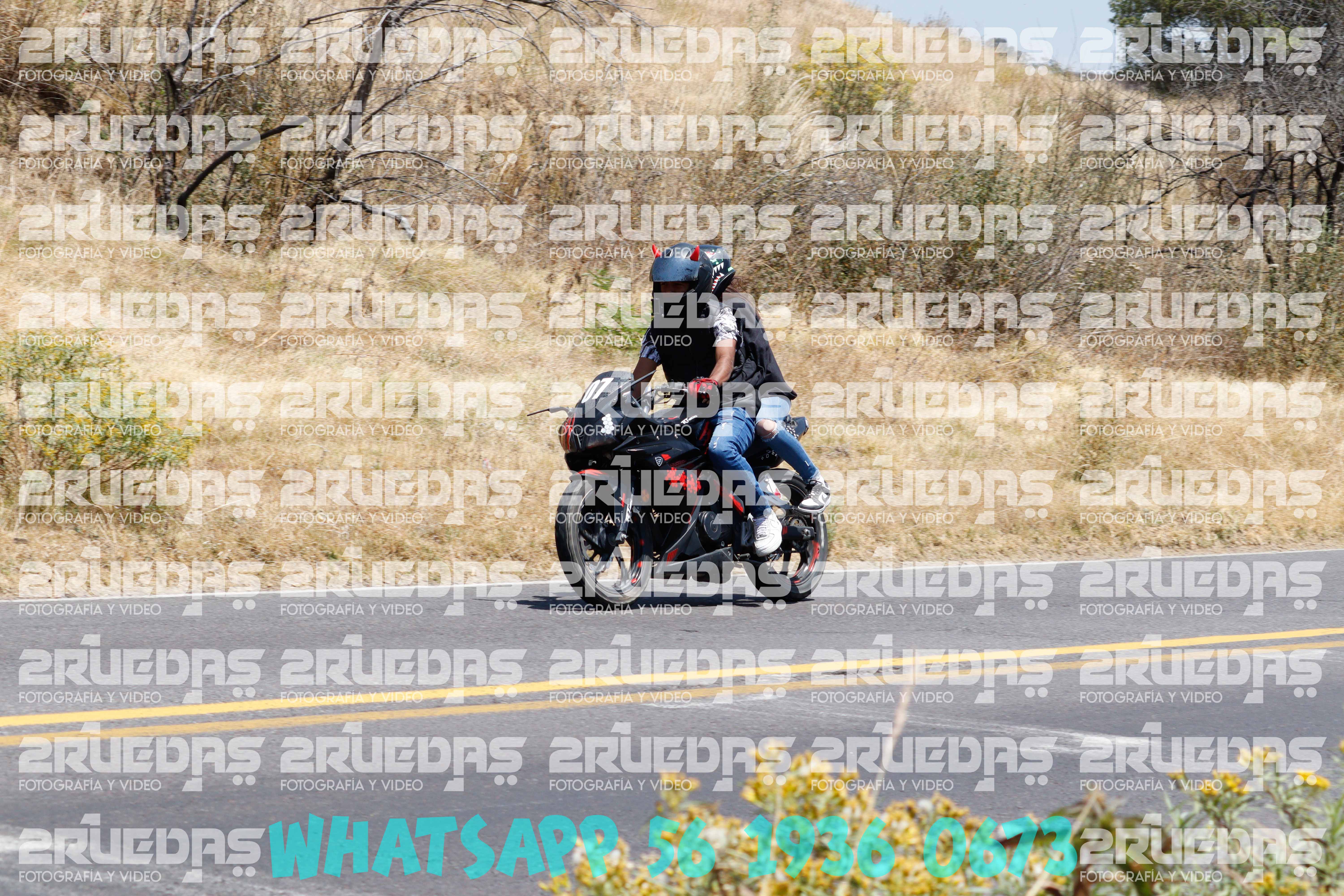 MG 1141 — Postimages