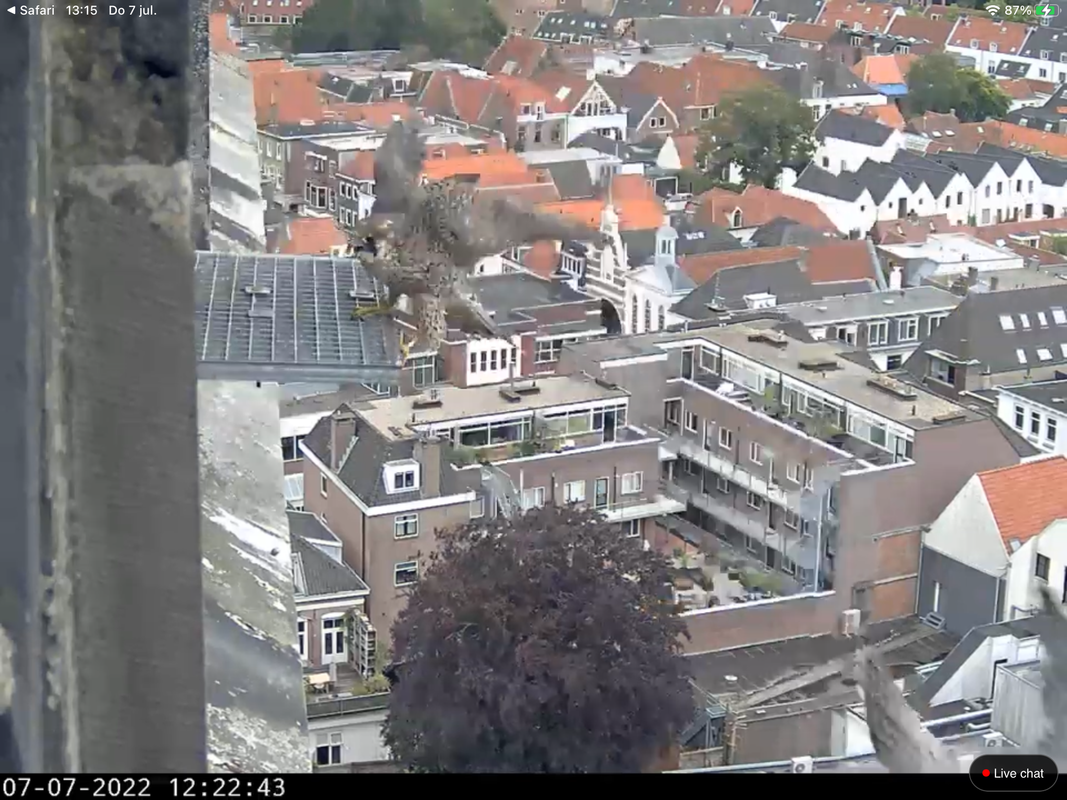 BB01678 D F0 B2 4768 A30 F 5 AAA2 E7964 E0 — Postimages