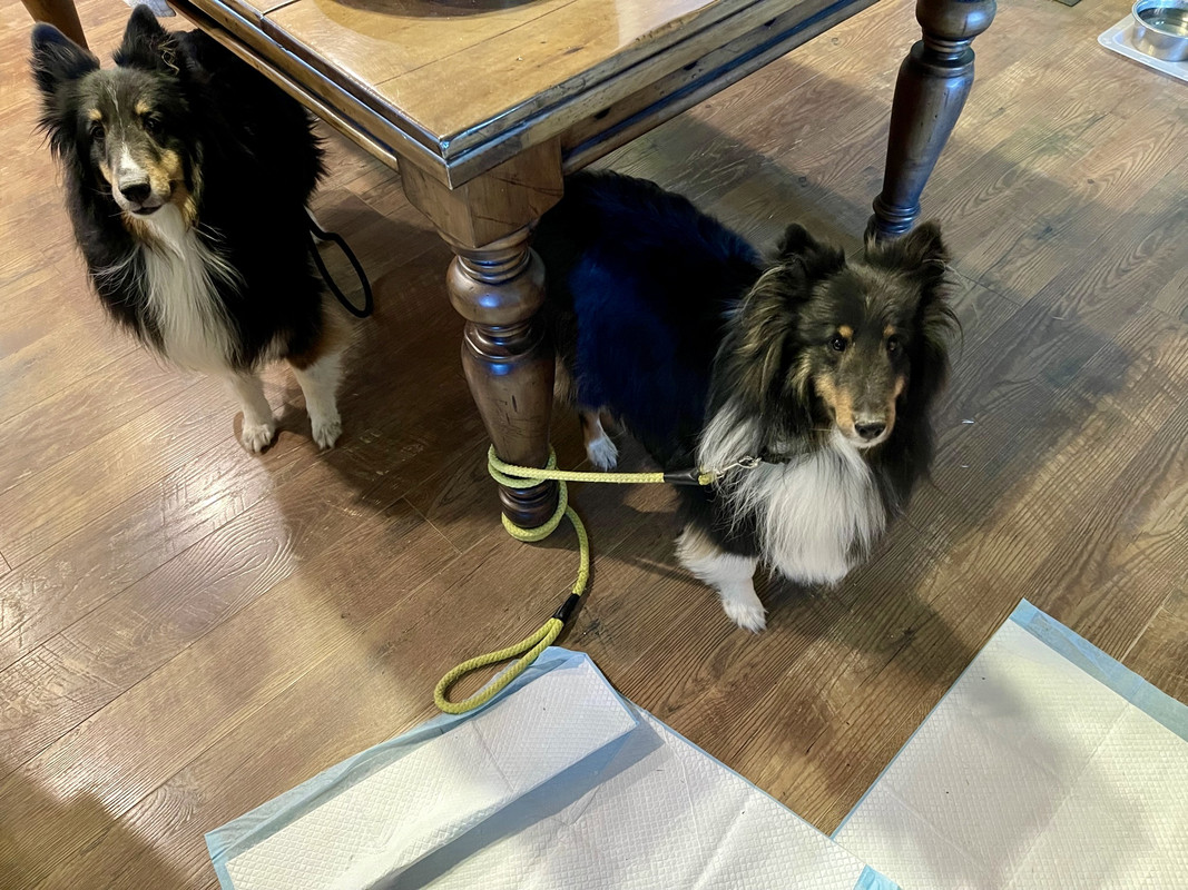 C2 F71 BAF A395 4091 AC67 8 E8 B0408098 E 1 201 a — Postimages