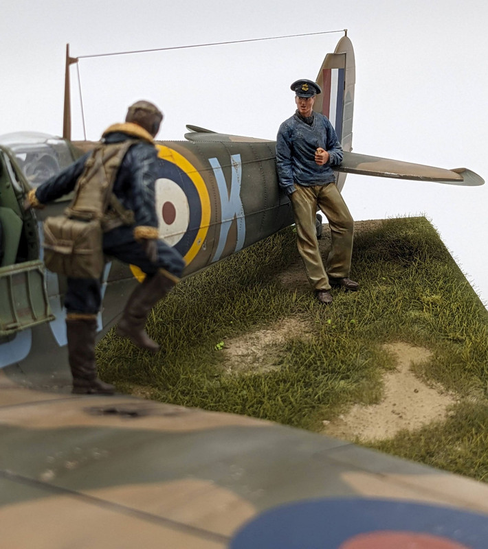 "Bit of a rough go today, eh, chap?" - Ready for Inspection - Large ...