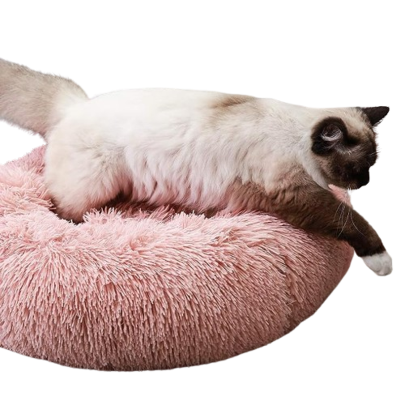 DONA removebg preview (1) (1) — Postimages