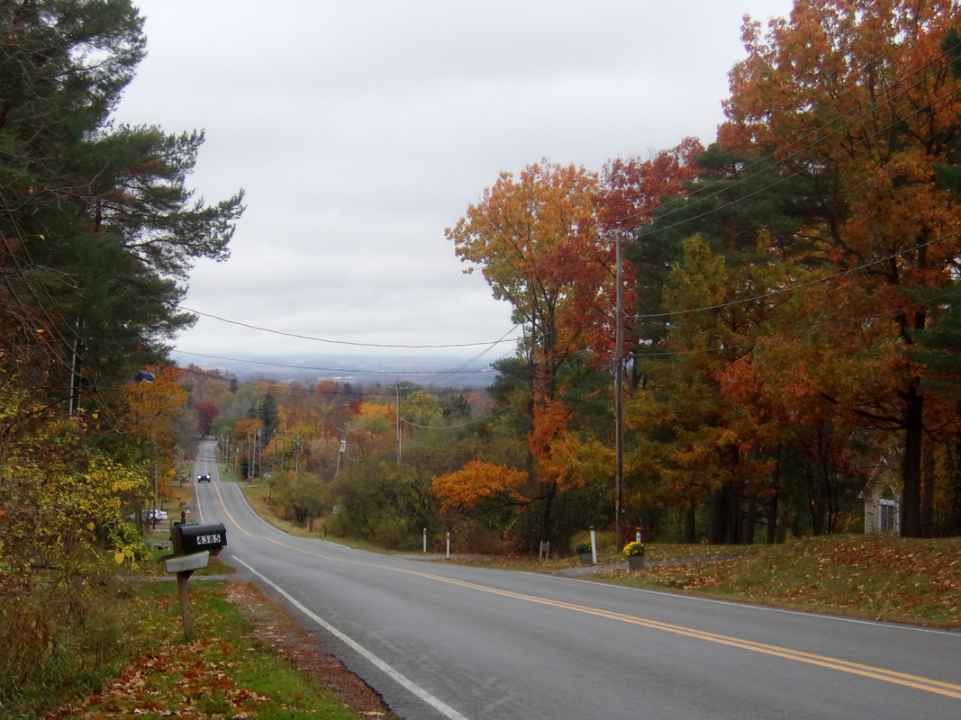 RunningAHEAD - Topic: Pretty pics from your run (page 24)