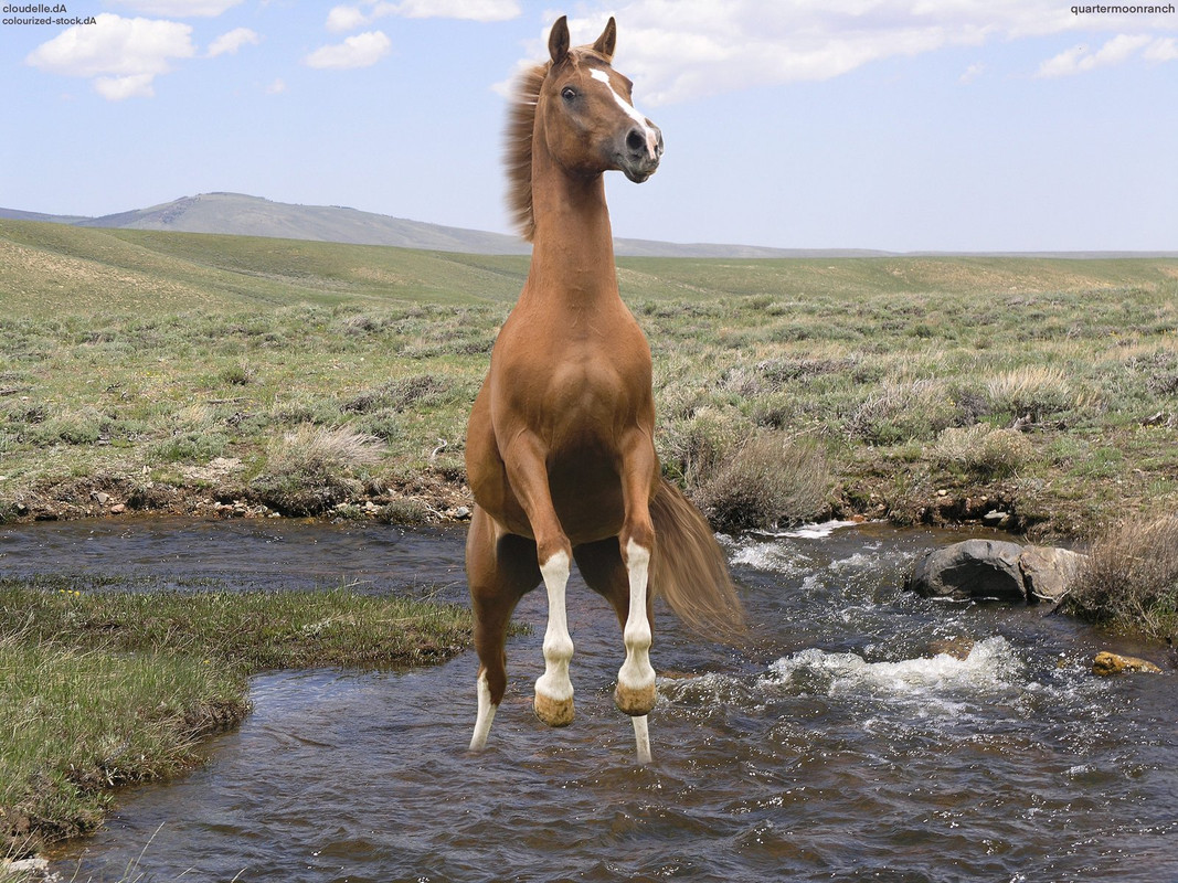 Untitled Artwork 2 — Postimages