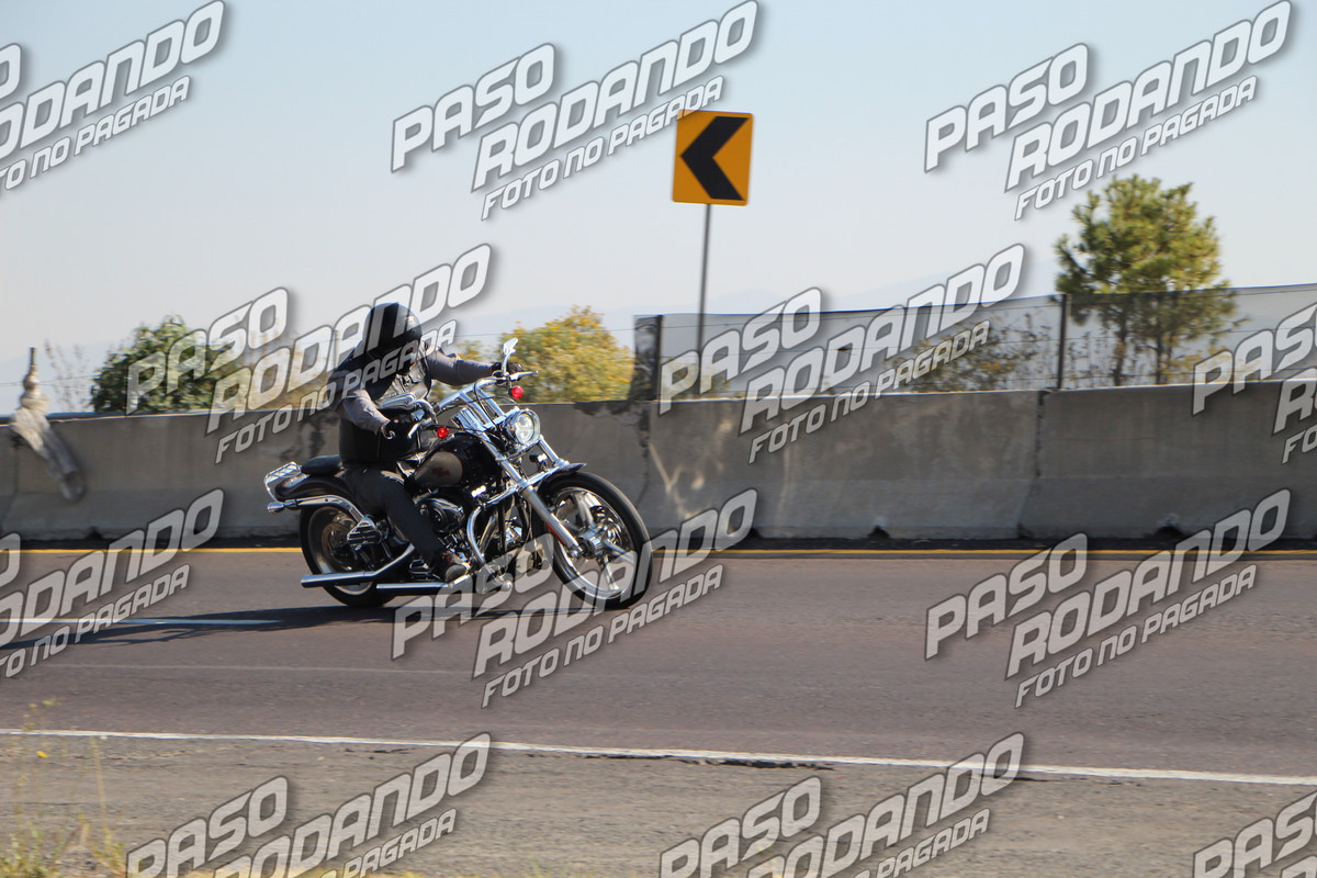 IMG 7306 wm 2701101 8999999985 watermarked — Postimages