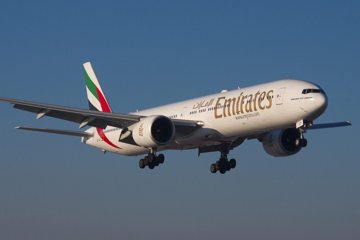 A6 EGP IMG 9261[1] — Postimages