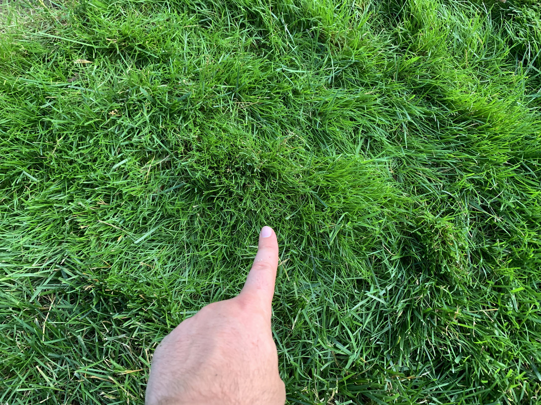 IMG 8260 — Postimages