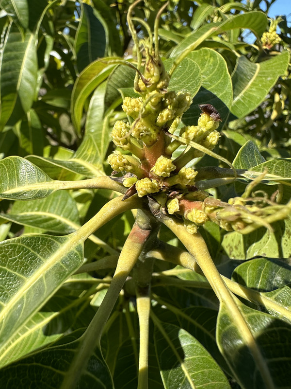 IMG 2759 — Postimages