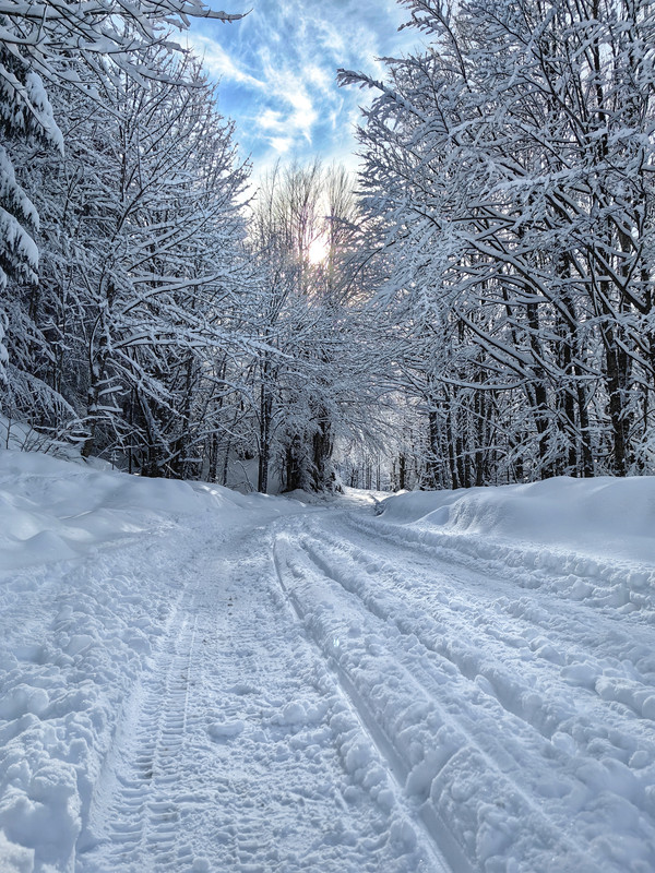 IMG 20250104 120130 01 — Postimages