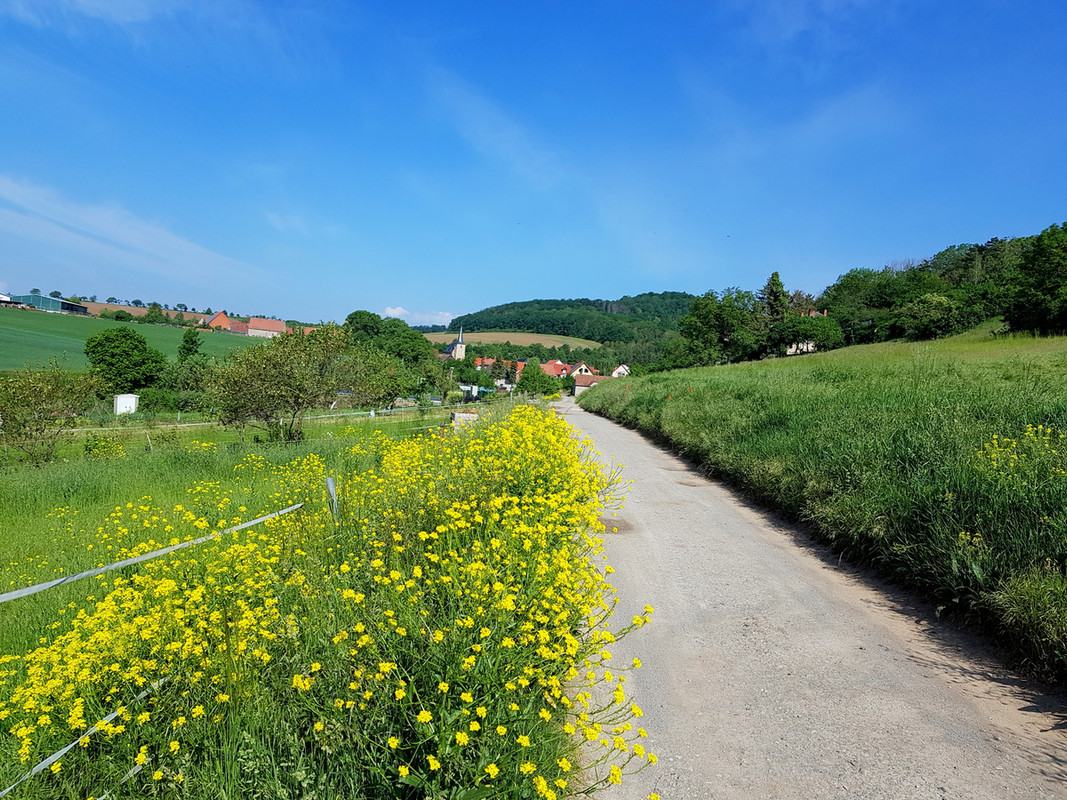 beichlingen 2205 14 23 268 — Postimages