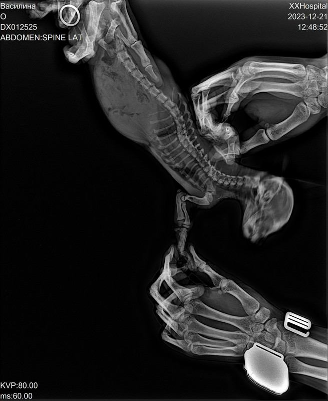 D8 E0 BC60 EC94 402 E 94 ED AB47679 FDCA8 — Postimages