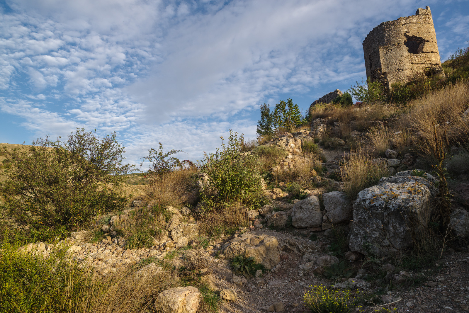 V0004856 145 1600 — Postimages