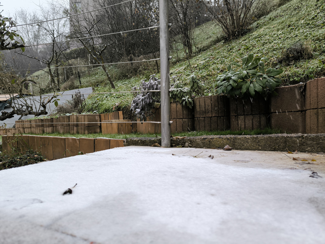 Img 20231209 091723 Postimages