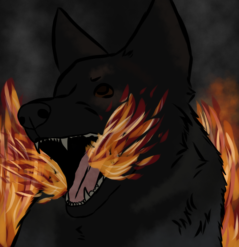 83483536 Ny TNK6w Ha Sb Fdj H — Postimages