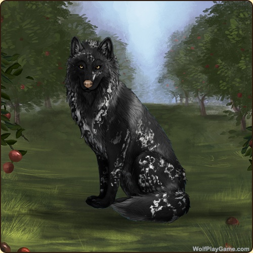 4 C1 F13 B5 869 D 4641 A049 39 C60 Fb011 De — Postimages
