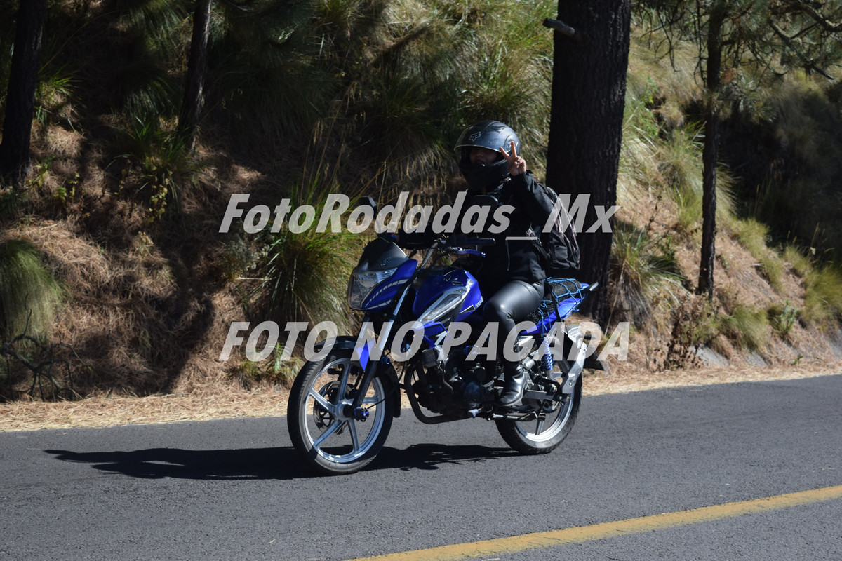 DSC 0772 — Postimages