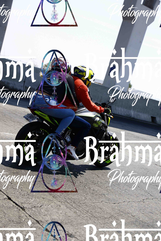 MG 3906 — Postimages