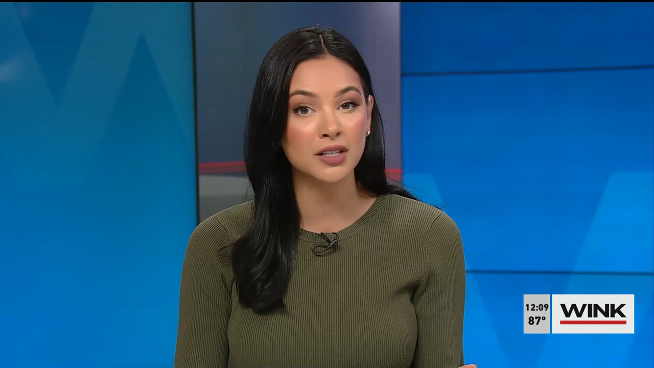 The WINK Noon News 20230920 17001730 ts snapshot 11 23 326 — Postimages