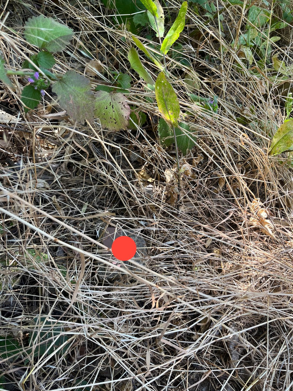 D012 Ed94 1239 4 Aa6 9 E83 Ec6 C2 C4709 Ad — Postimages