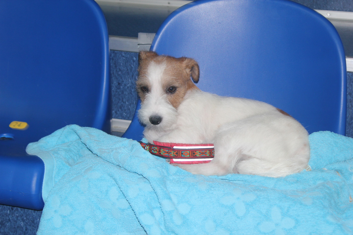 Изображение 332 — Postimages