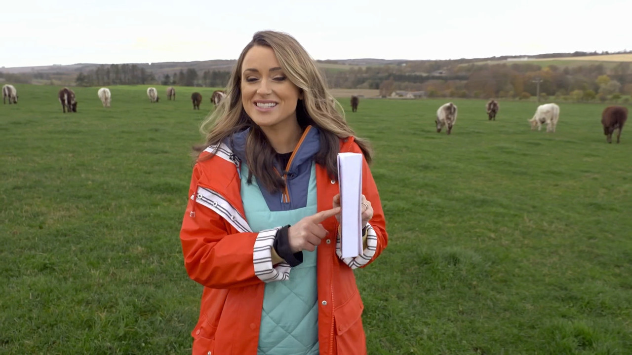 Landward 20221204 08150845 ts snapshot 09 54 469 — Postimages