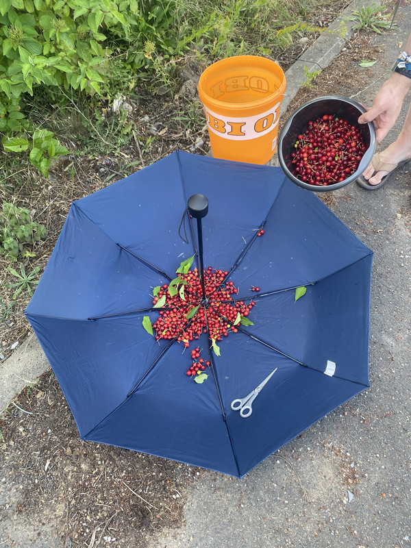 IMG 2907 — Postimages