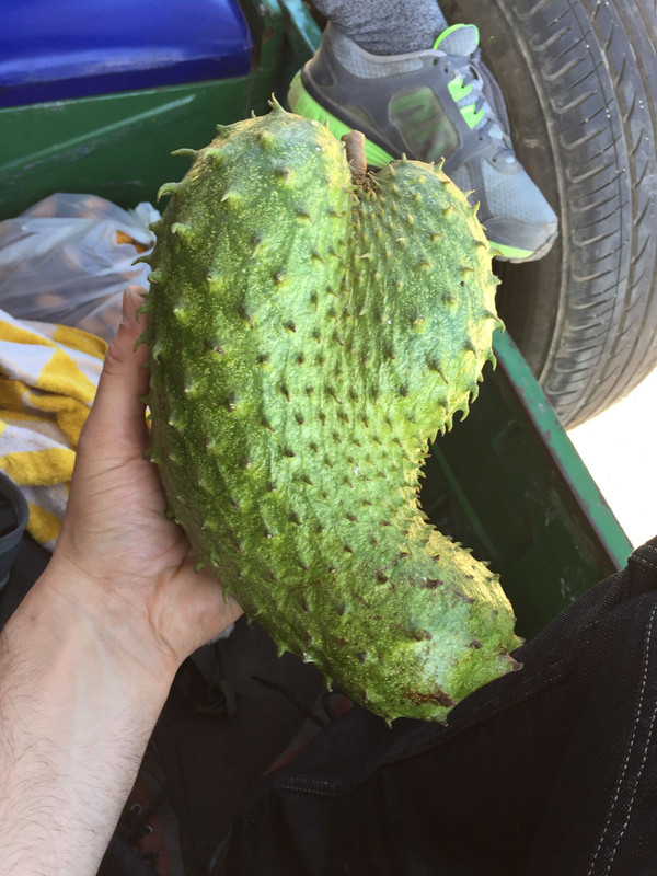 IMG 2877 — Postimages