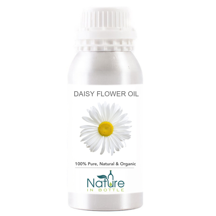 Bellis Perennis Daisy Flower Extract | Best Flower Site