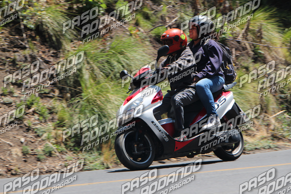 IMG 3724 wm 274806 5 watermarked — Postimages