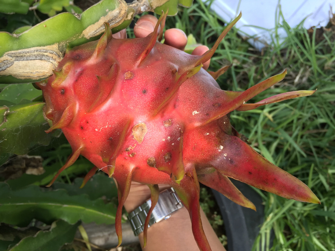 Image — Postimages