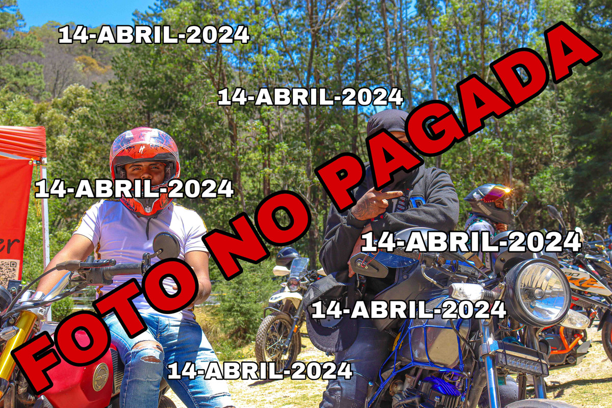 SC 213 — Postimages